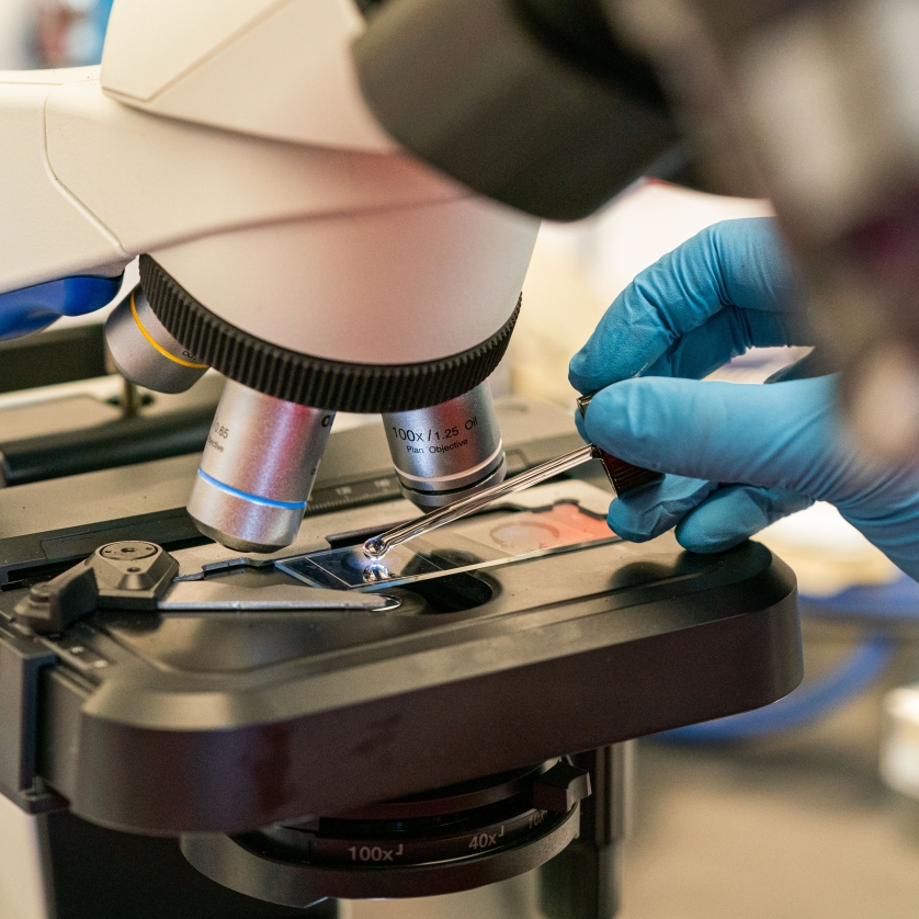 Facilities & Libraries | Rutgers University-Camden